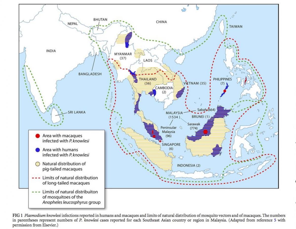 Mapa De La Malaria En Asia Global Malaria Programme
